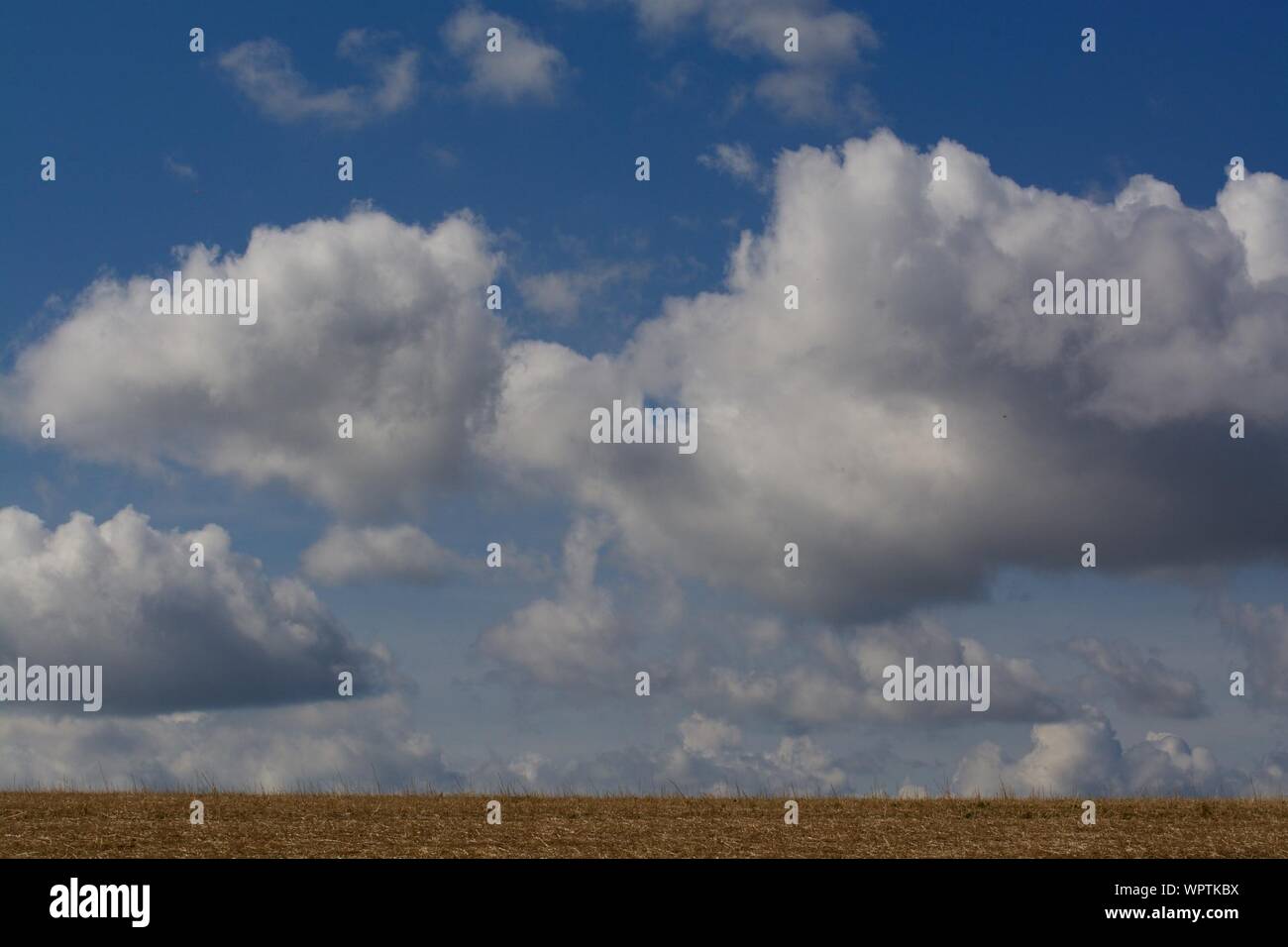 Cloud field hi-res stock photography and images - Alamy