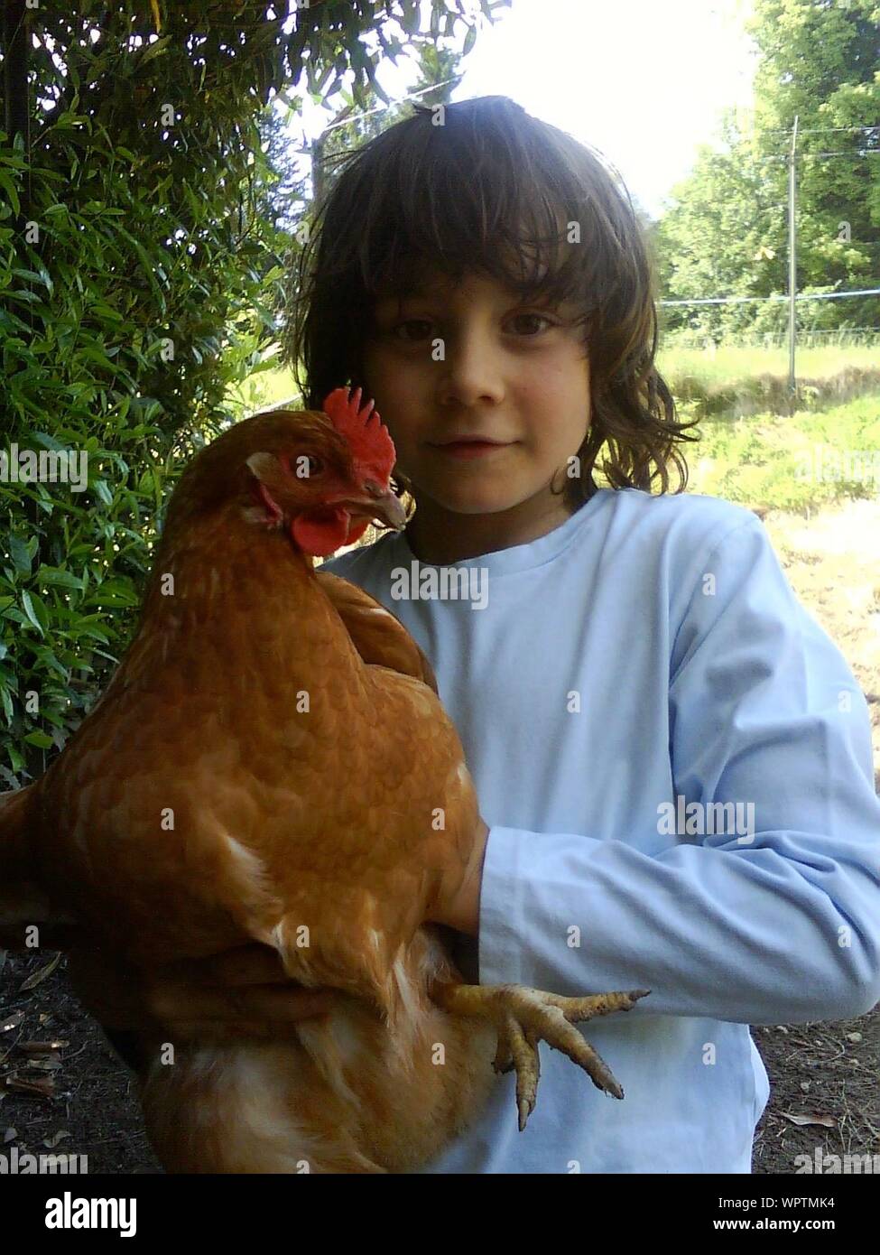 Boy holding chicken hi-res stock photography and images - Alamy