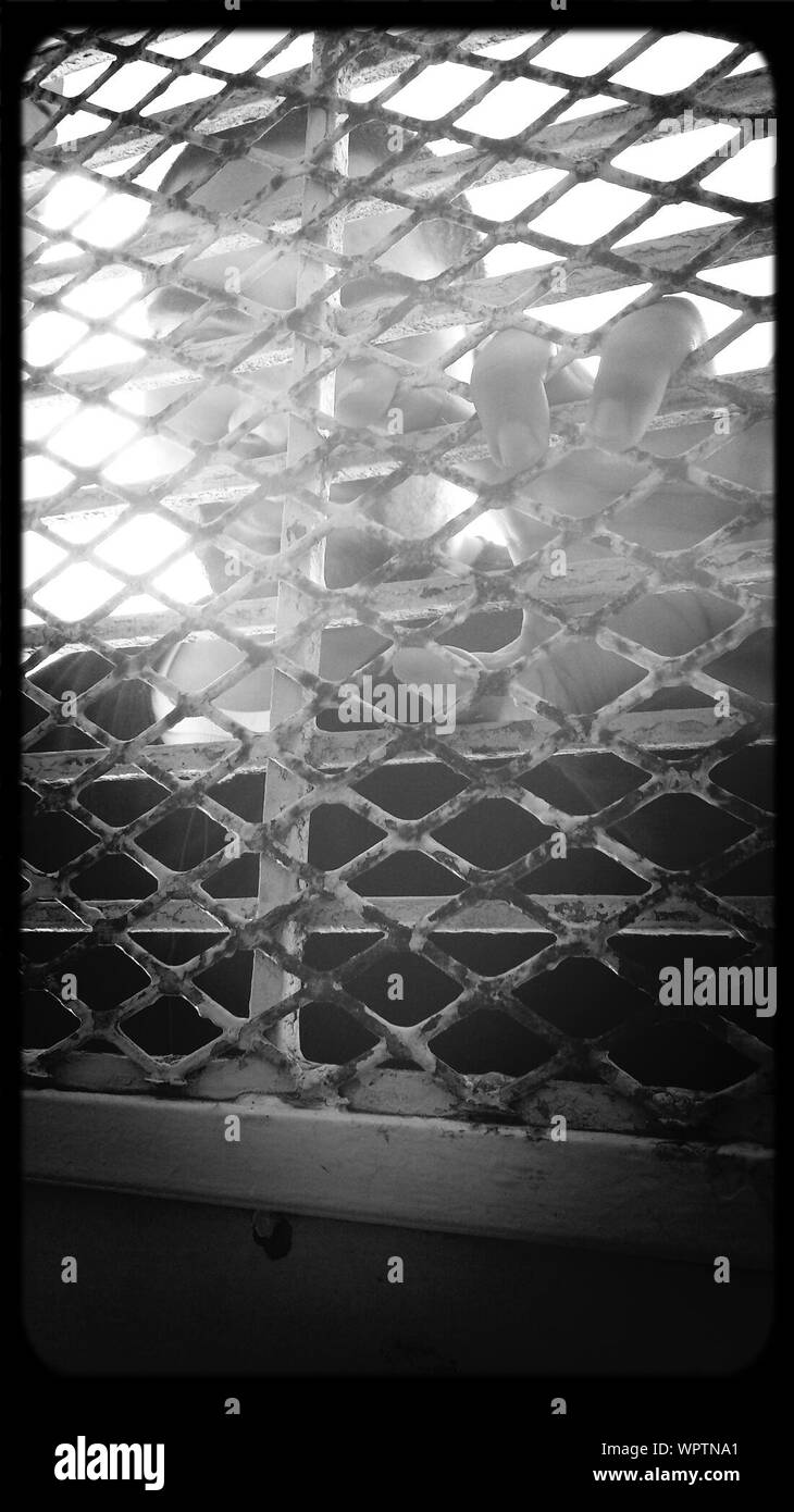 Holding metal grid hi-res stock photography and images - Alamy