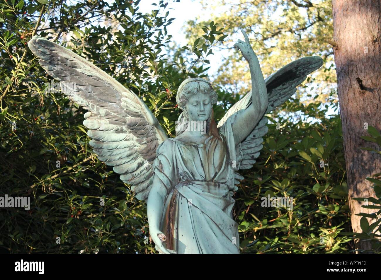 Angel trees hi-res stock photography and images - Alamy