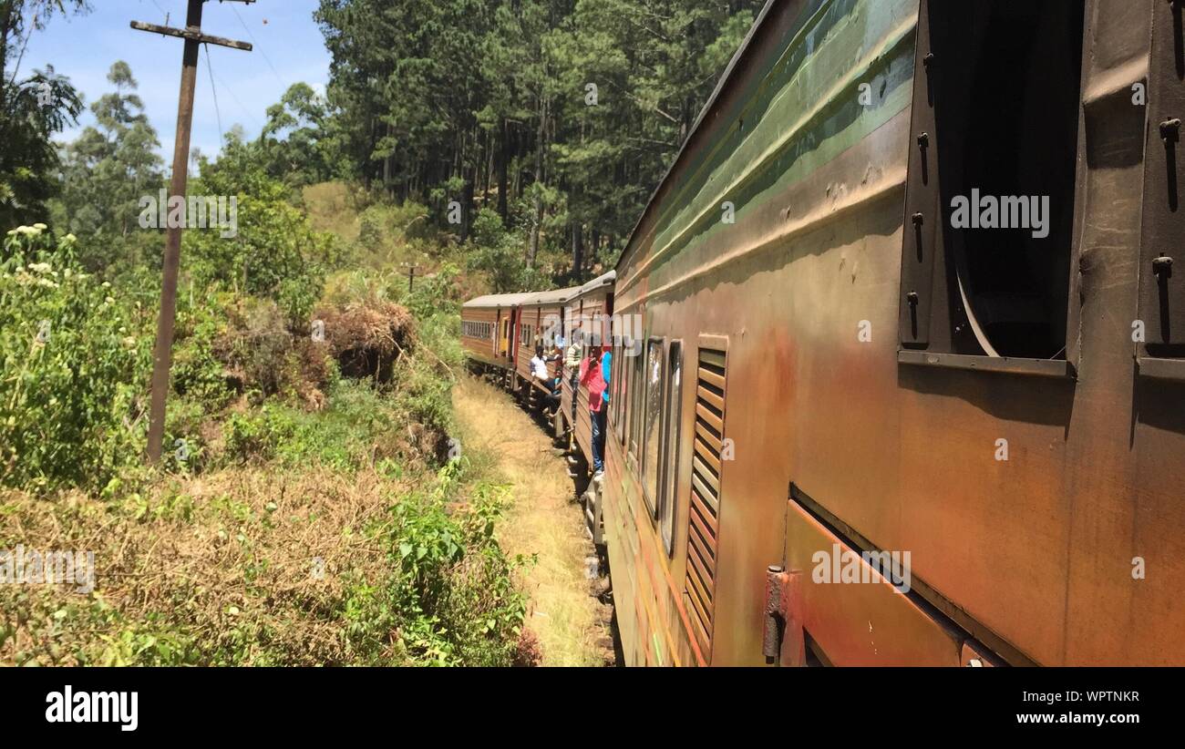 Train and trees hi-res stock photography and images - Alamy