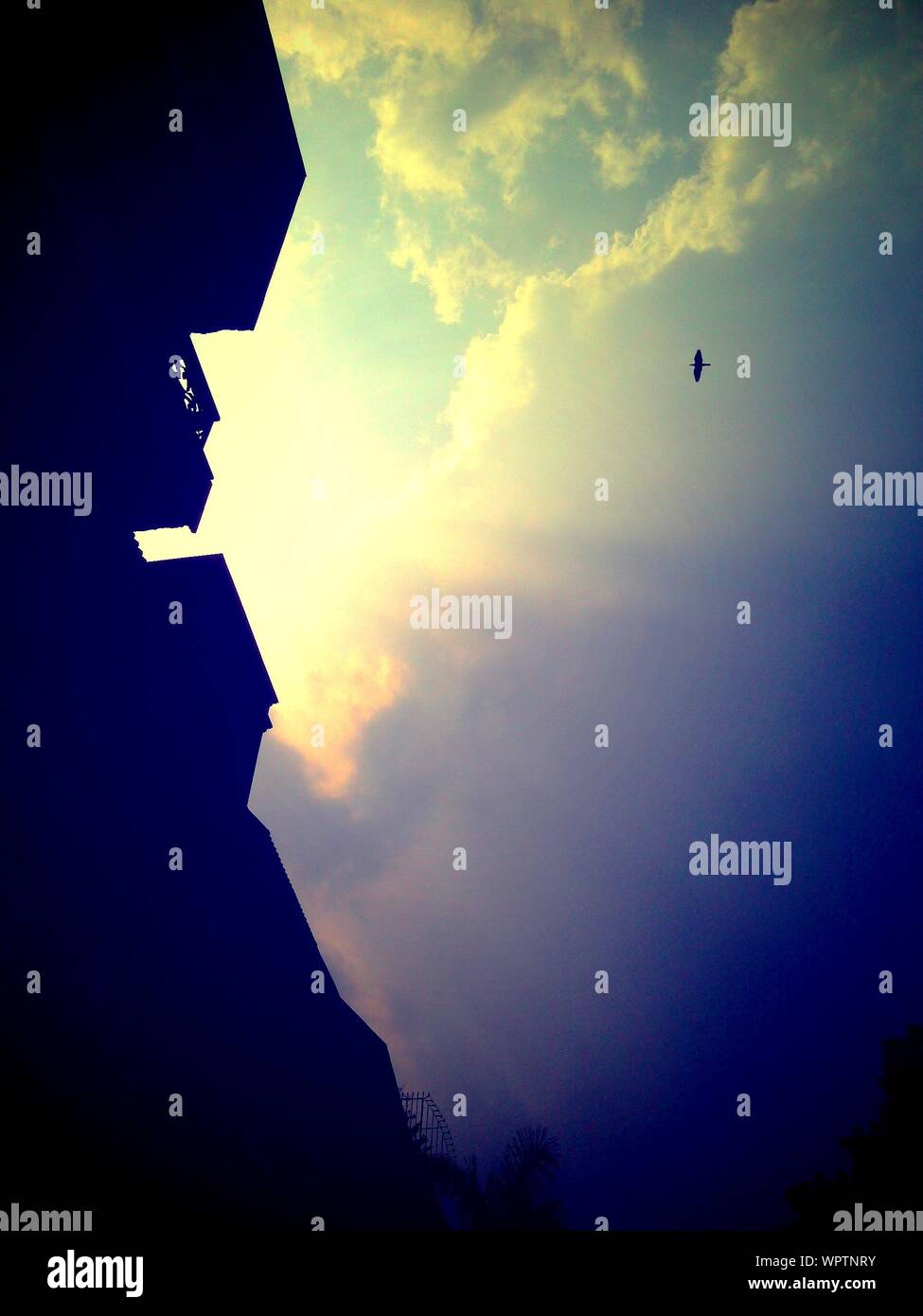 Silhouette of a bird in the sky at sunset hi-res stock photography and ...