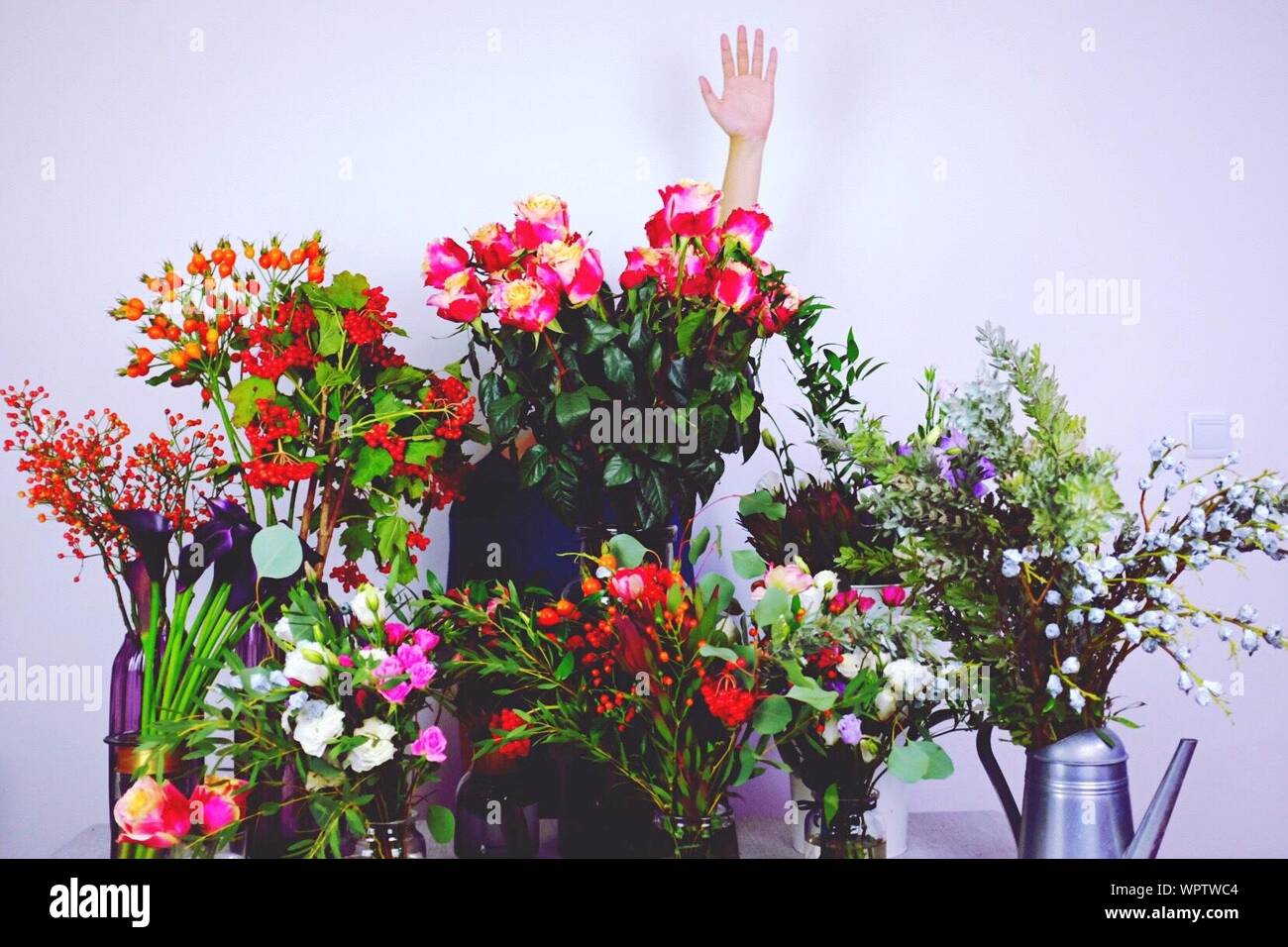 Beauty behind flower hi-res stock photography and images - Alamy