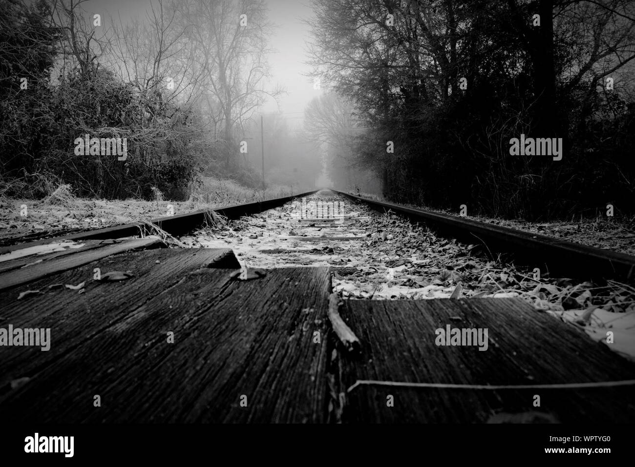 Log railroad hi-res stock photography and images - Alamy