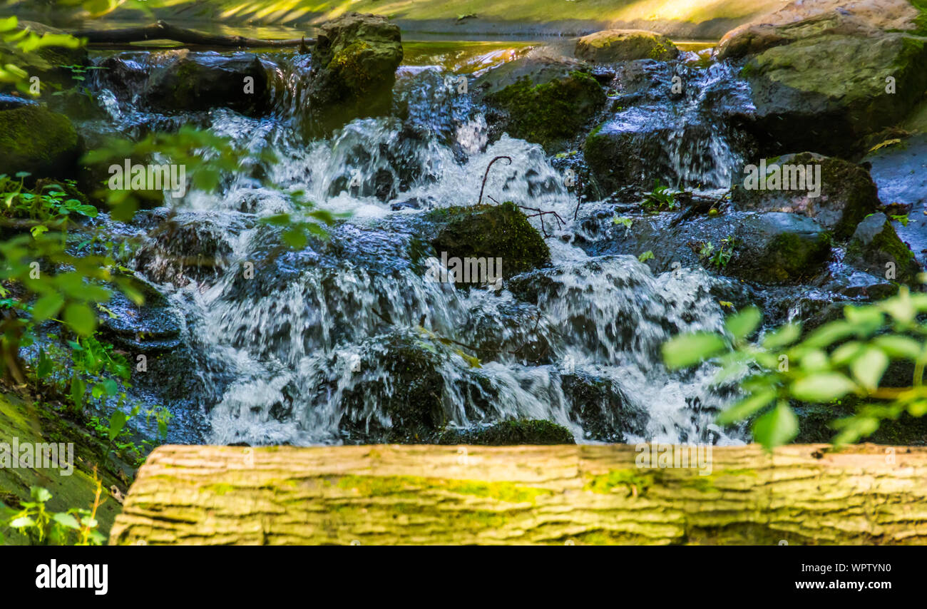 streaming water over rocks in closeup, beautiful garden architecture ...