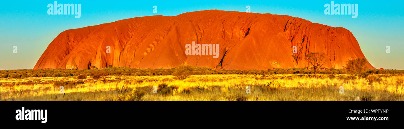 Banner panorama of red color of Uluru or Ayers Rock at sunset, the huge ...