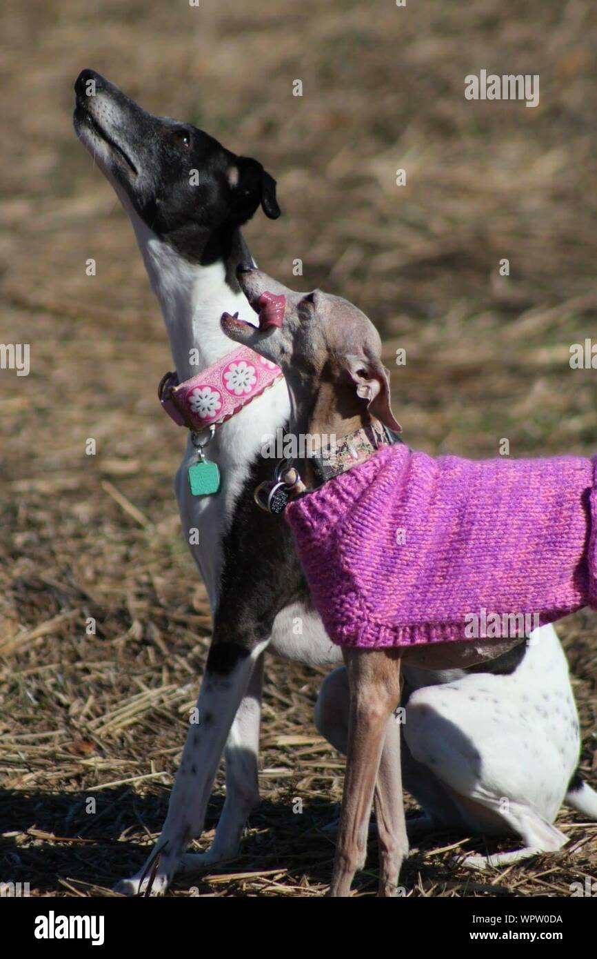 Protruding High Resolution Stock Photography and Images - Alamy