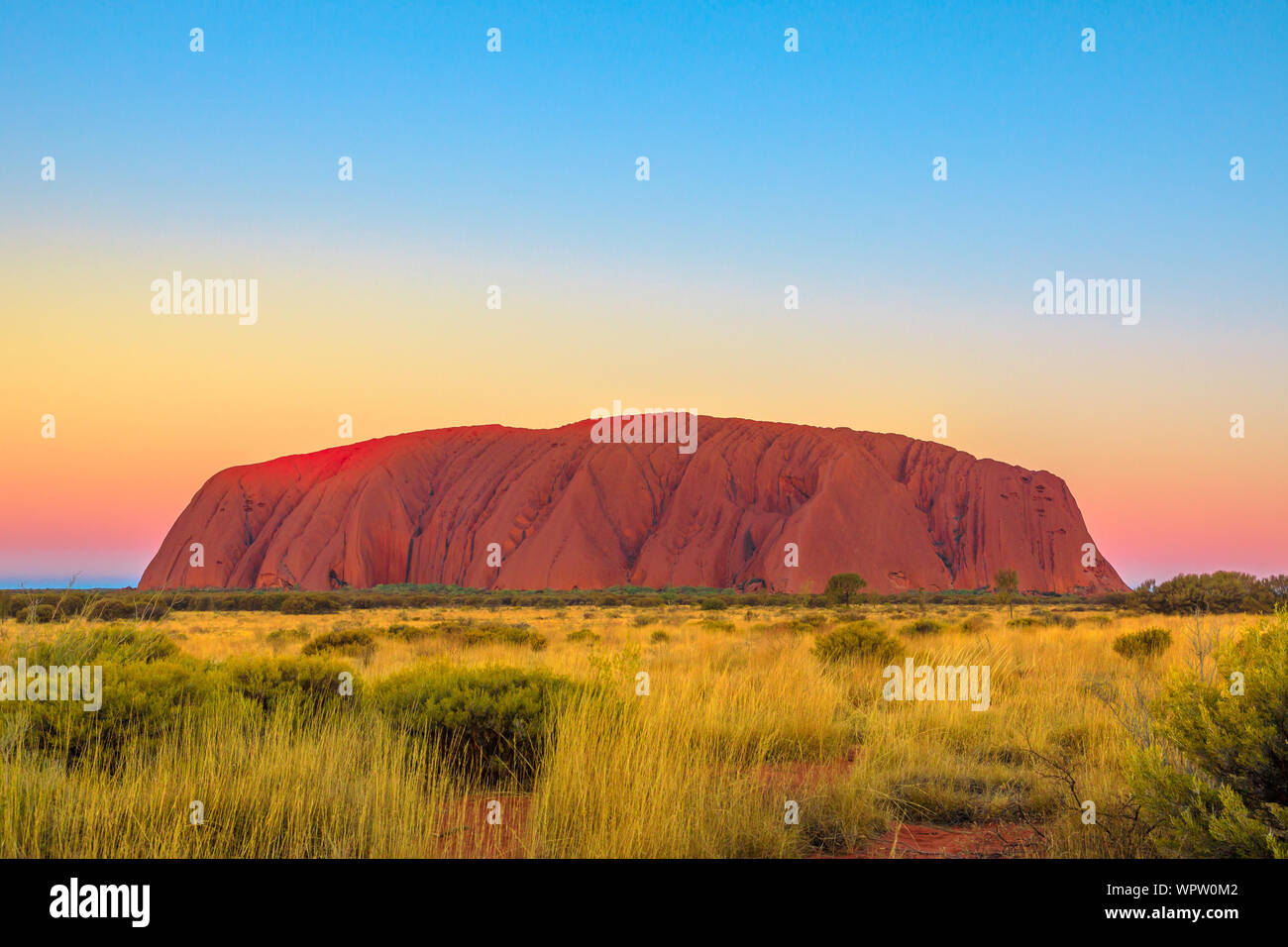 Uluru or Ayers Rock after sunset. L'iconico monolith at twilight in ...