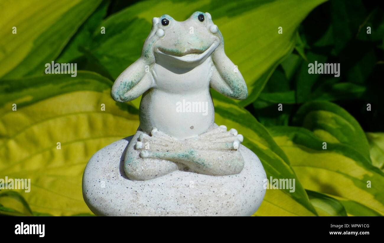 Animal Covering Ears High Resolution Stock Photography and Images - Alamy