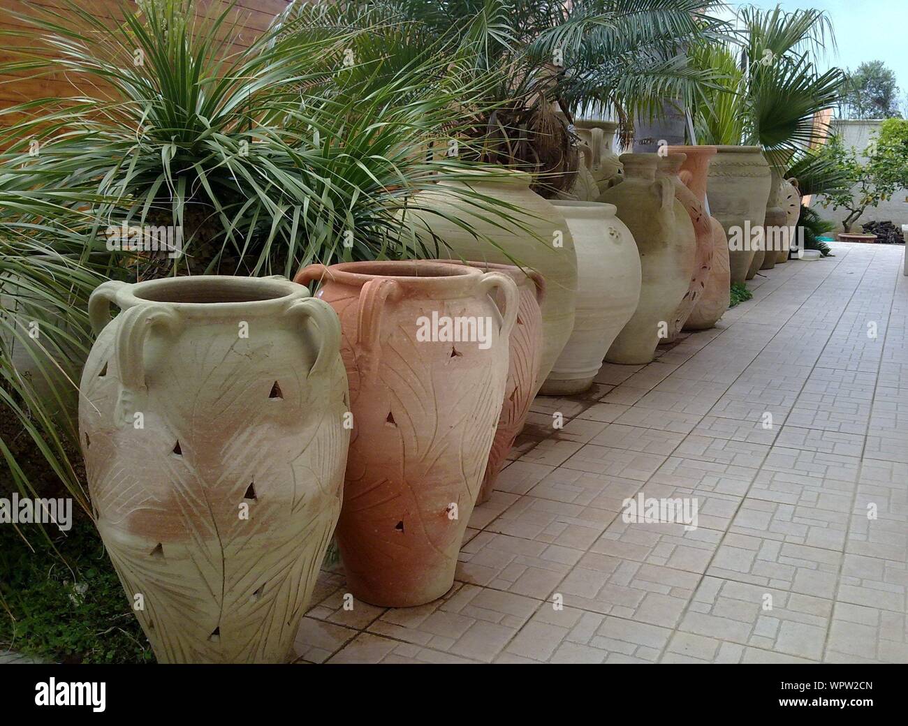 Large pot plants hi-res stock photography and images - Alamy