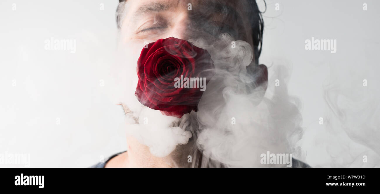 Young red rose flower hi-res stock photography and images - Alamy