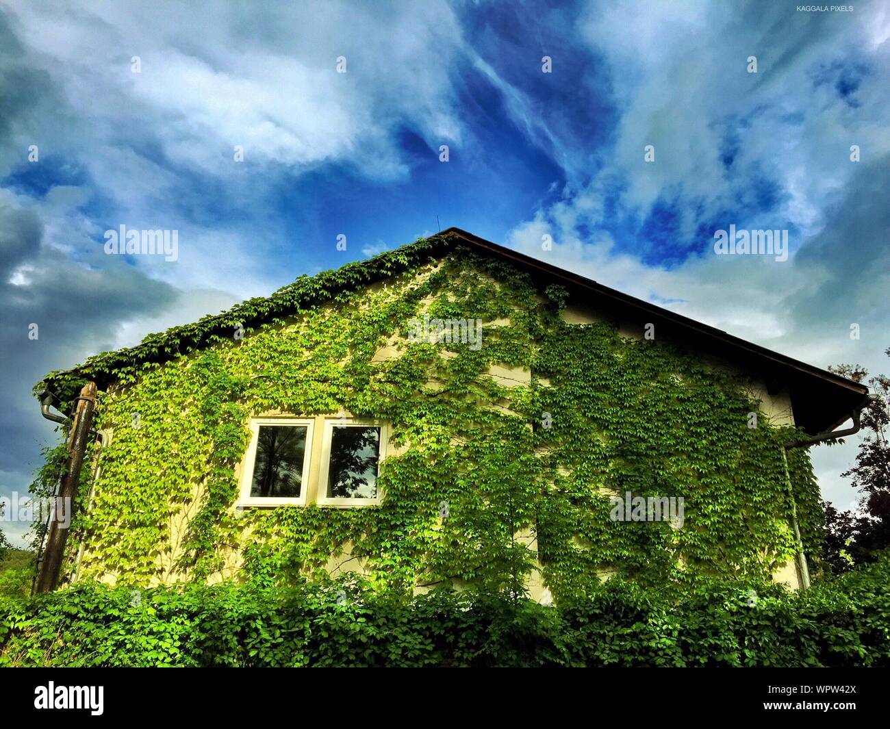 Creepers On House High Resolution Stock Photography and Images - Alamy
