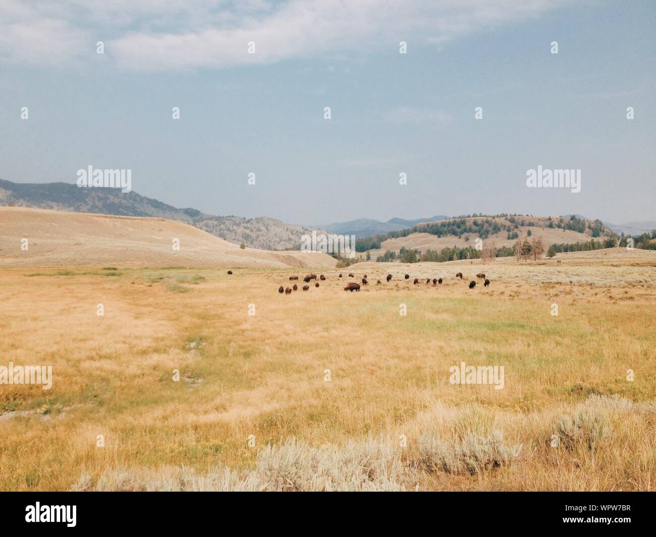 Reservation of animals hi-res stock photography and images - Alamy