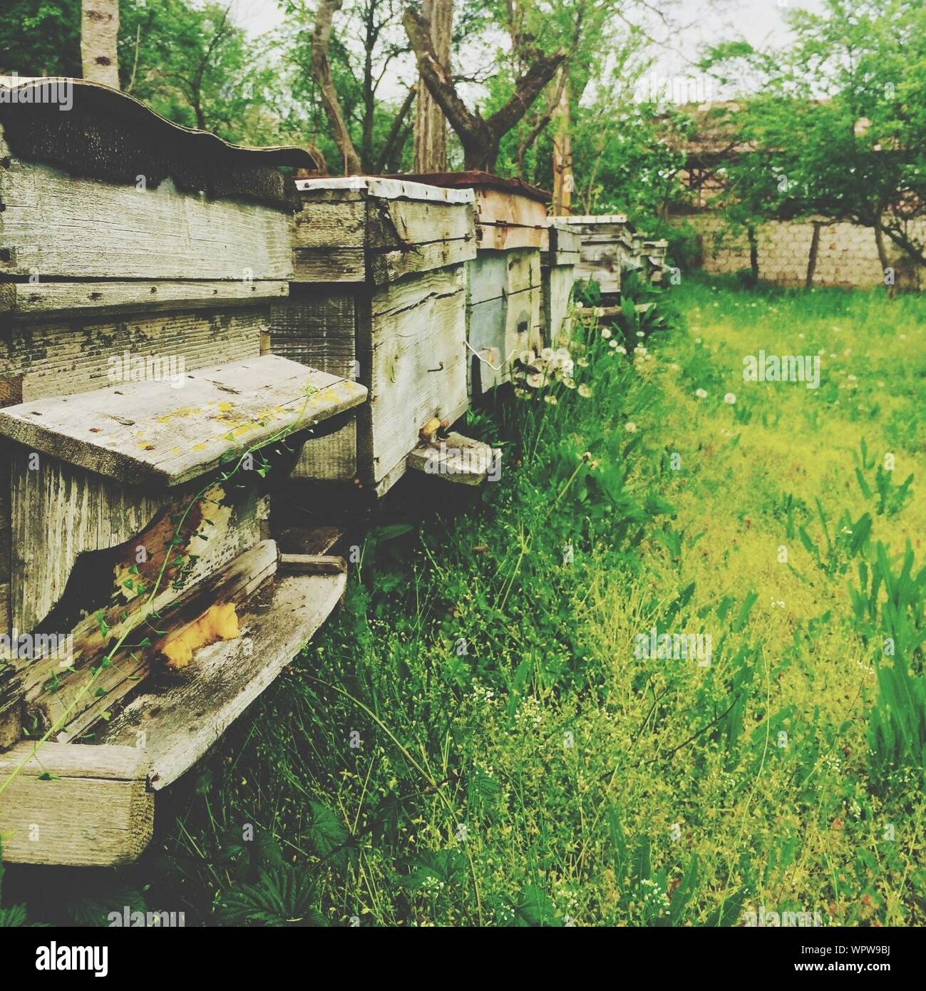 Old outdoor garden hi-res stock photography and images - Alamy