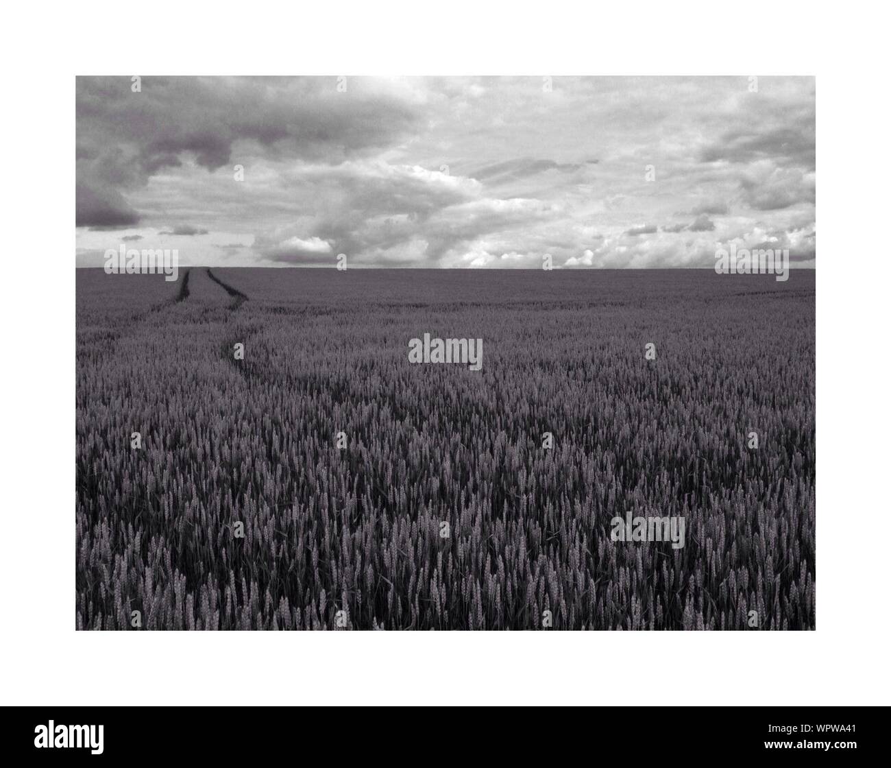 Landscape Cut Out Stock Images & Pictures - Alamy