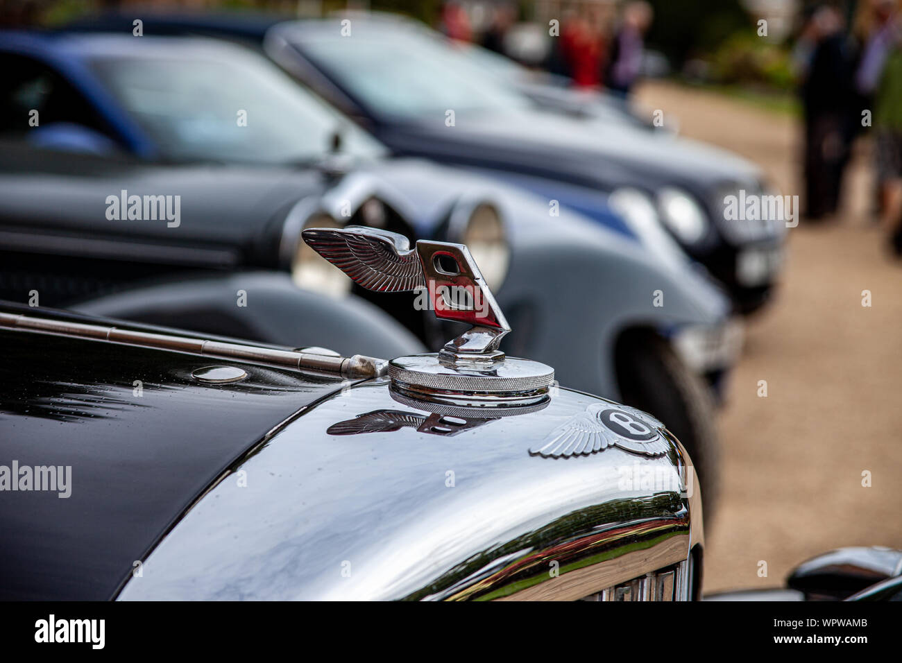 Concurs of elegance hi-res stock photography and images - Alamy