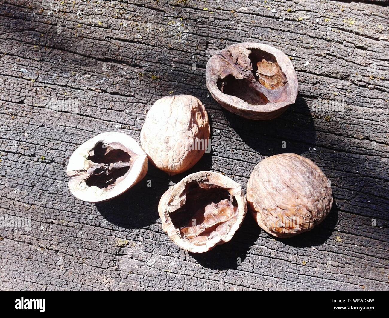 Walnut shells hi-res stock photography and images - Alamy