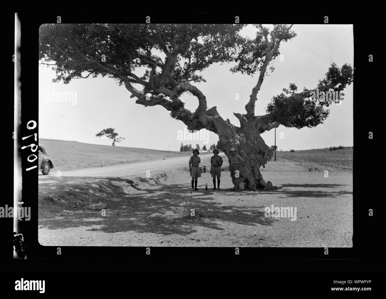 Majdel village & its primitive weaving. A typical geinaiz arabic or ...