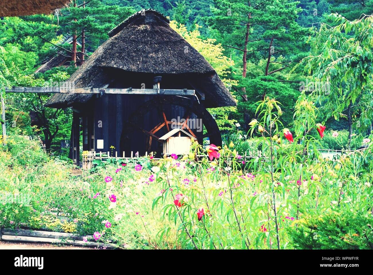 Hidden Hut High Resolution Stock Photography and Images - Alamy
