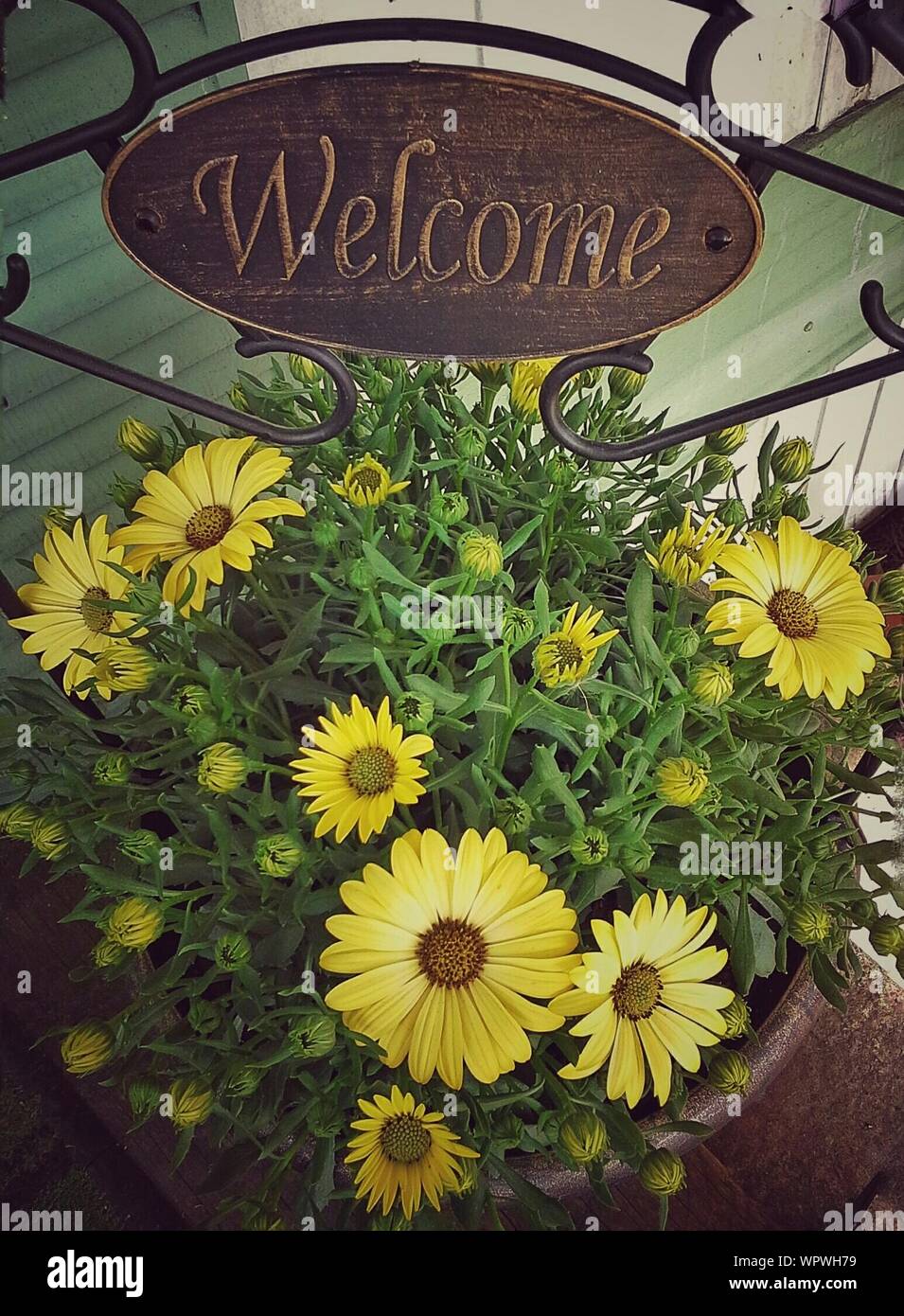 Yellow welcome sign hi-res stock photography and images - Alamy