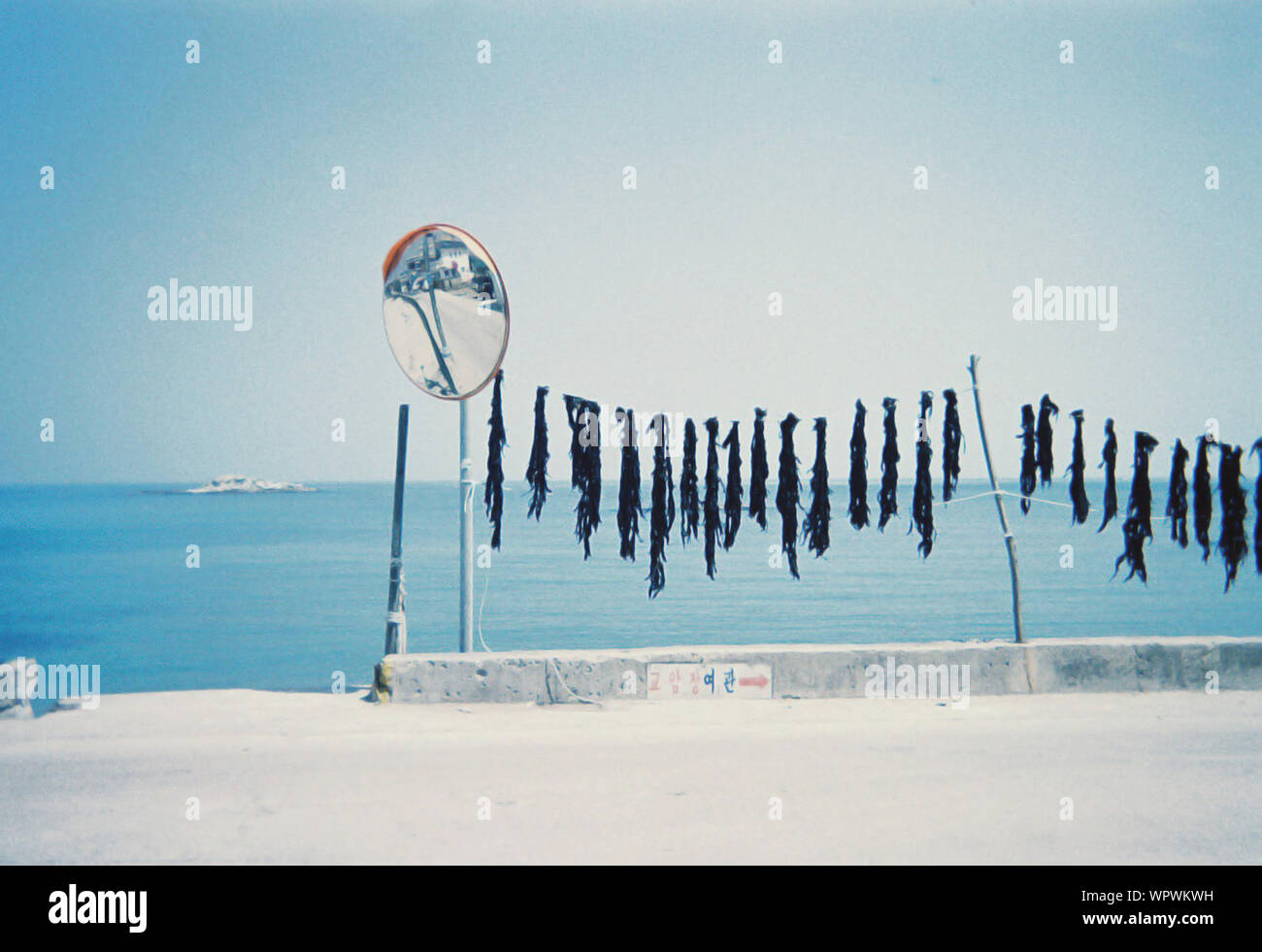 Algae clear hi-res stock photography and images - Alamy