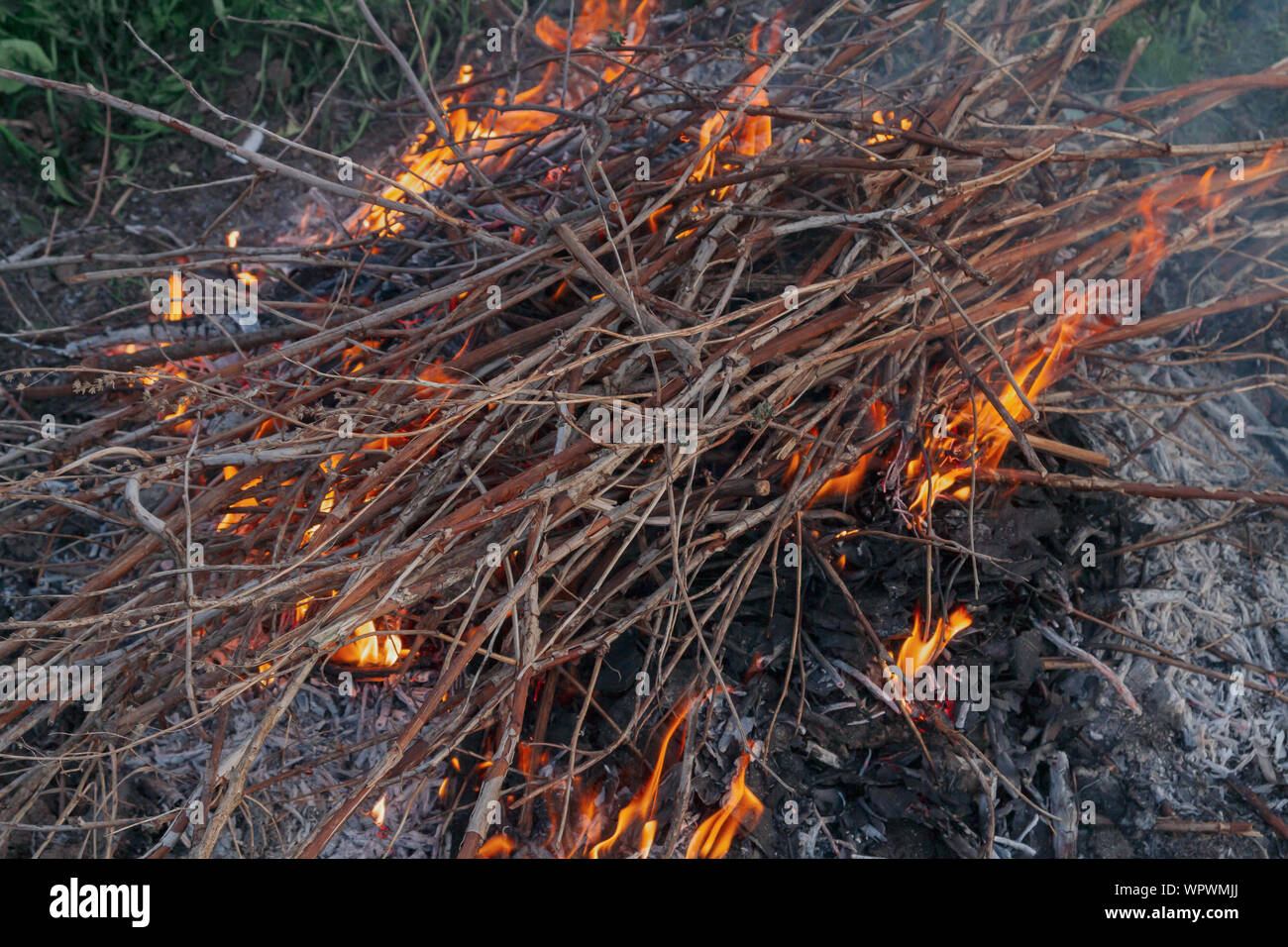Fire of dry twigs on the green grass Stock Photo - Alamy