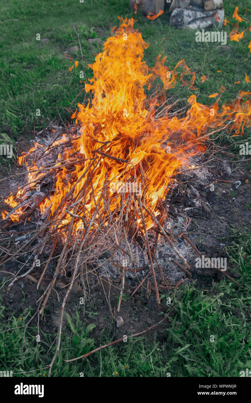Fire of dry twigs on the green grass Stock Photo - Alamy