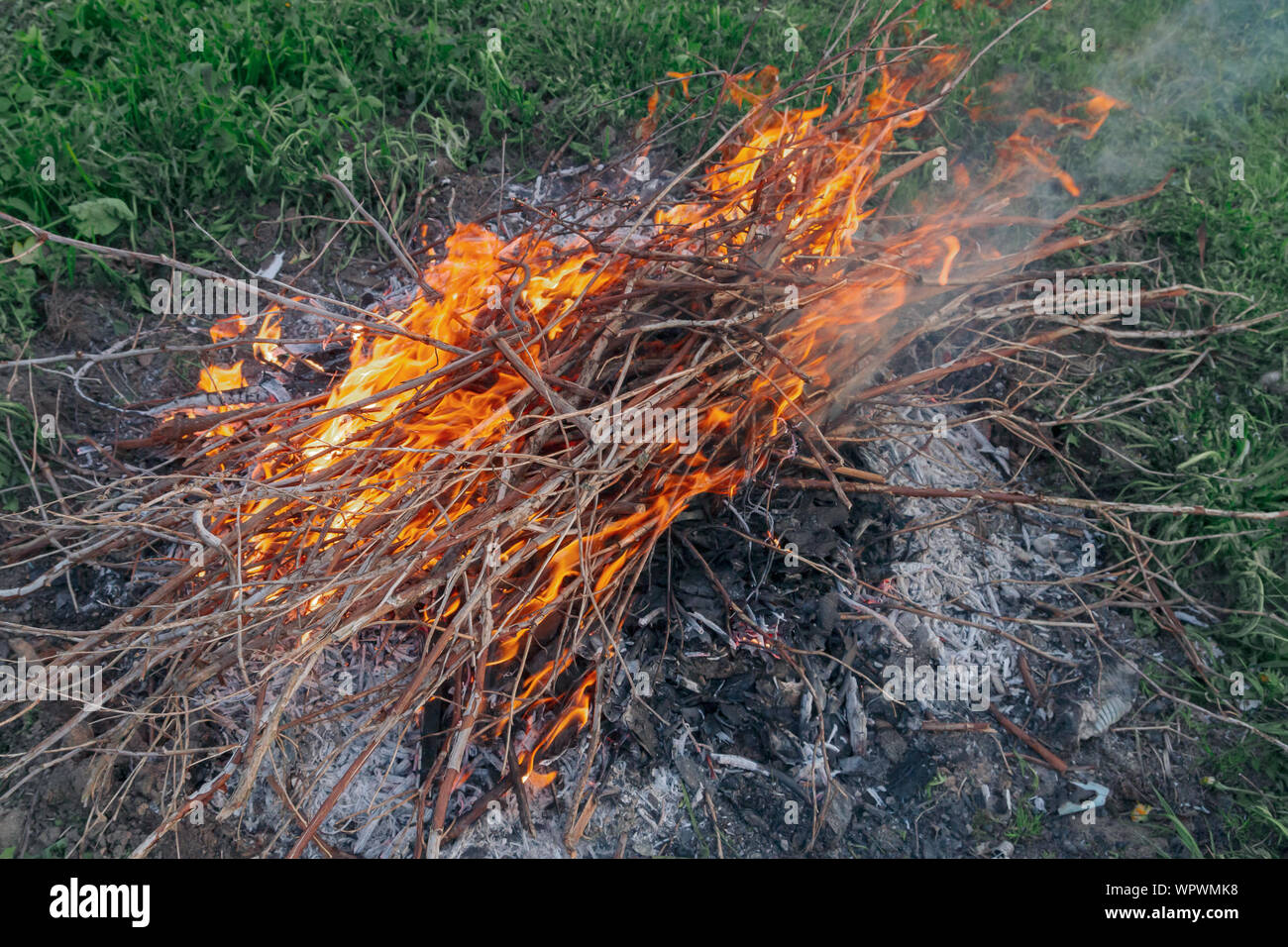 Fire of dry twigs on the green grass Stock Photo - Alamy