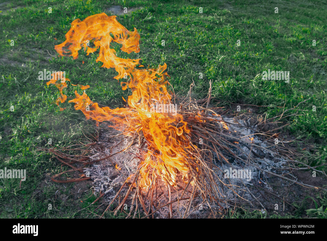 Fire of dry twigs on the green grass Stock Photo - Alamy