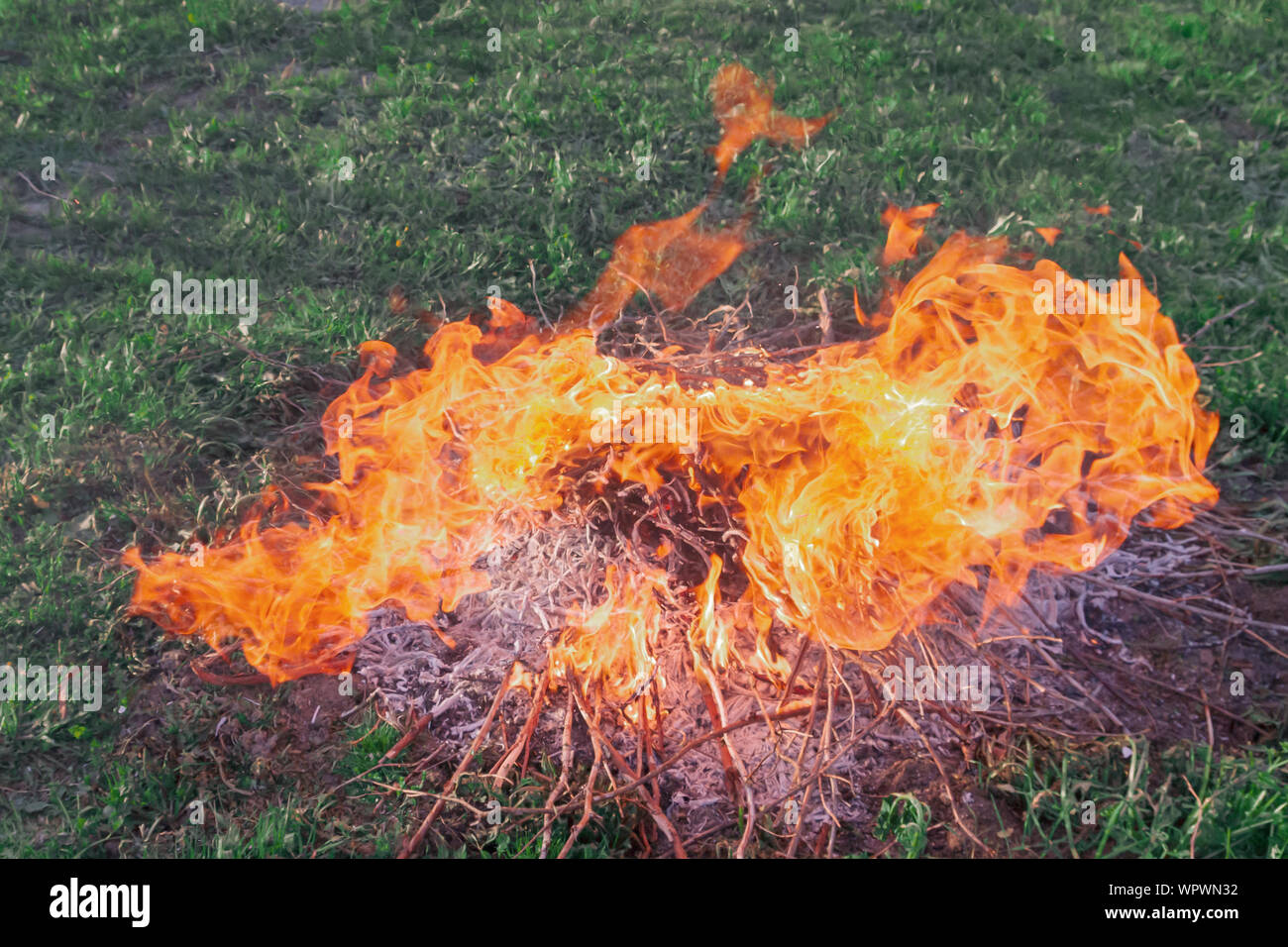 Fire of dry twigs on the green grass Stock Photo - Alamy