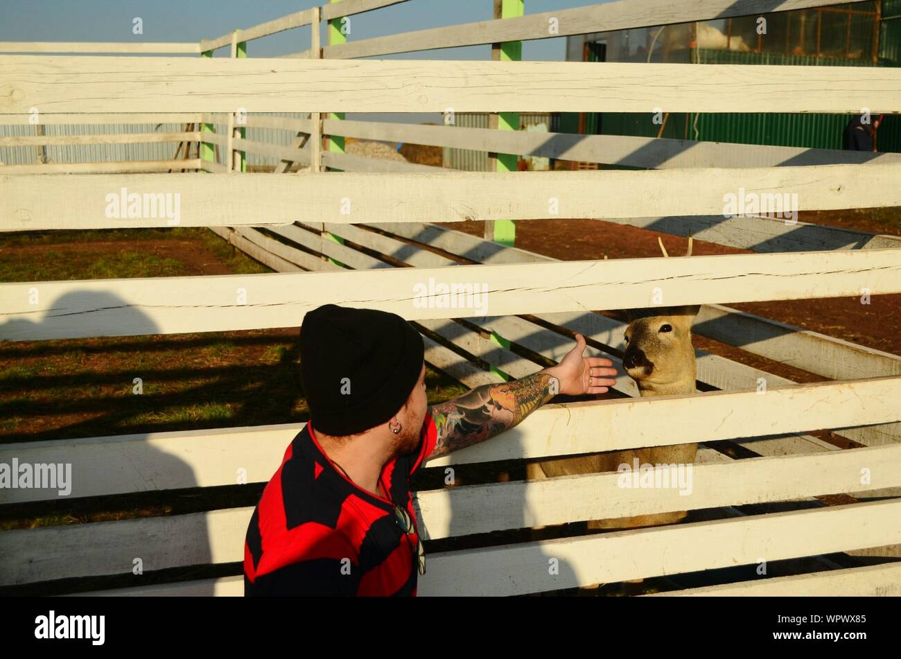 Stag man hi-res stock photography and images - Alamy