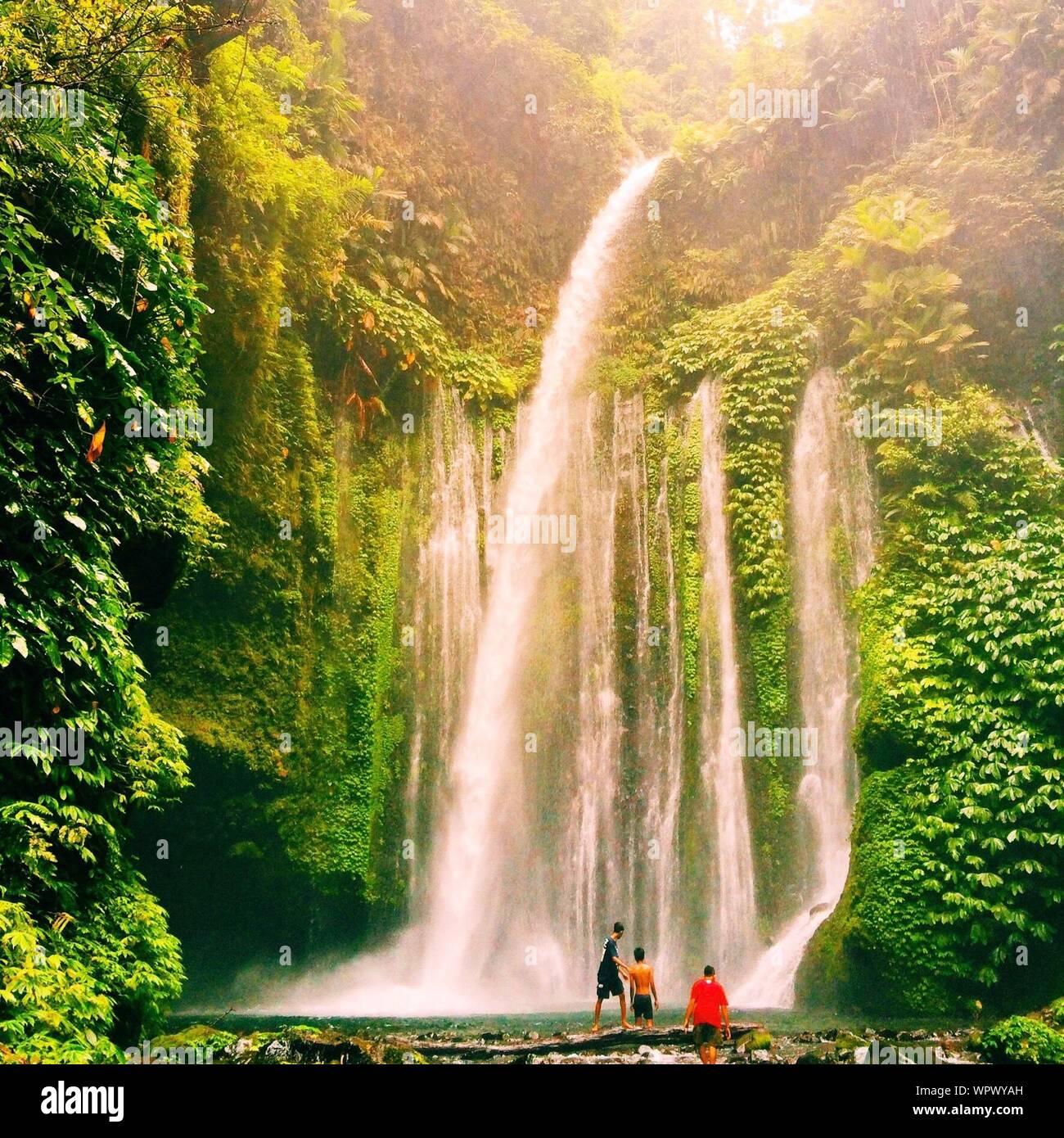 Friends In Front Of Senaru Waterfall Stock Photo - Alamy