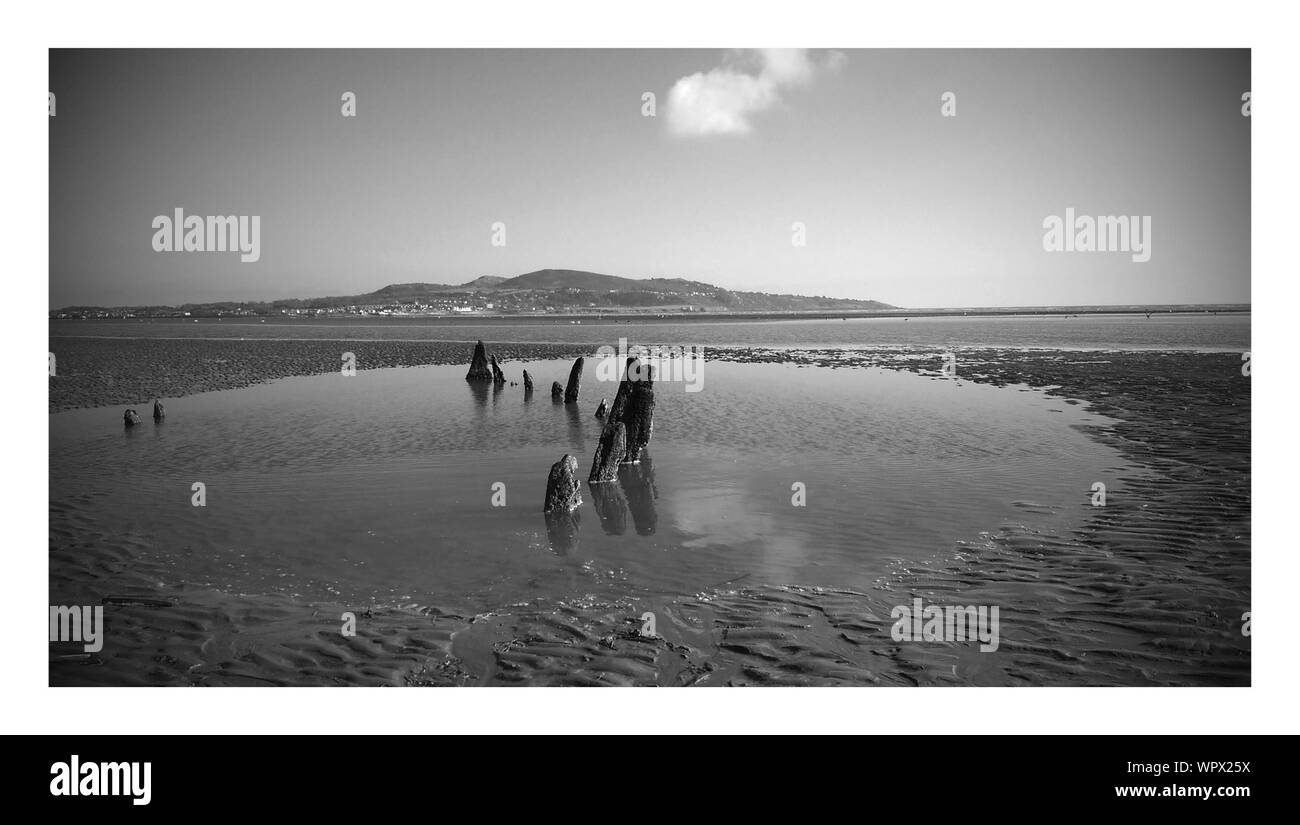 Grunge Guys Wallow In Mud