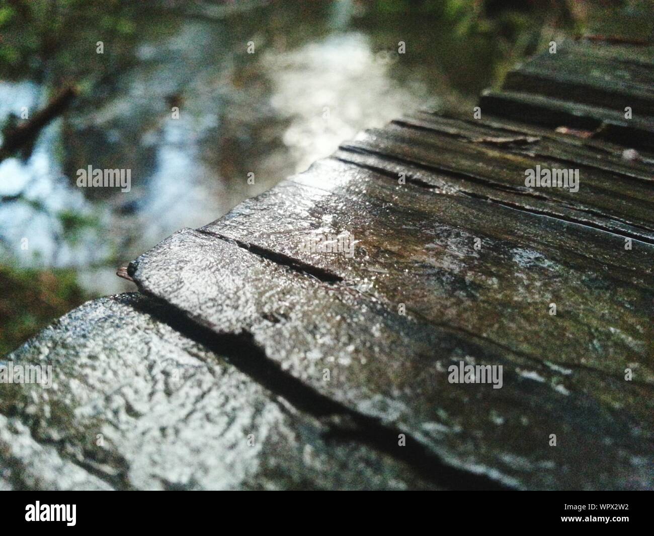 Glazed frost hi-res stock photography and images - Alamy