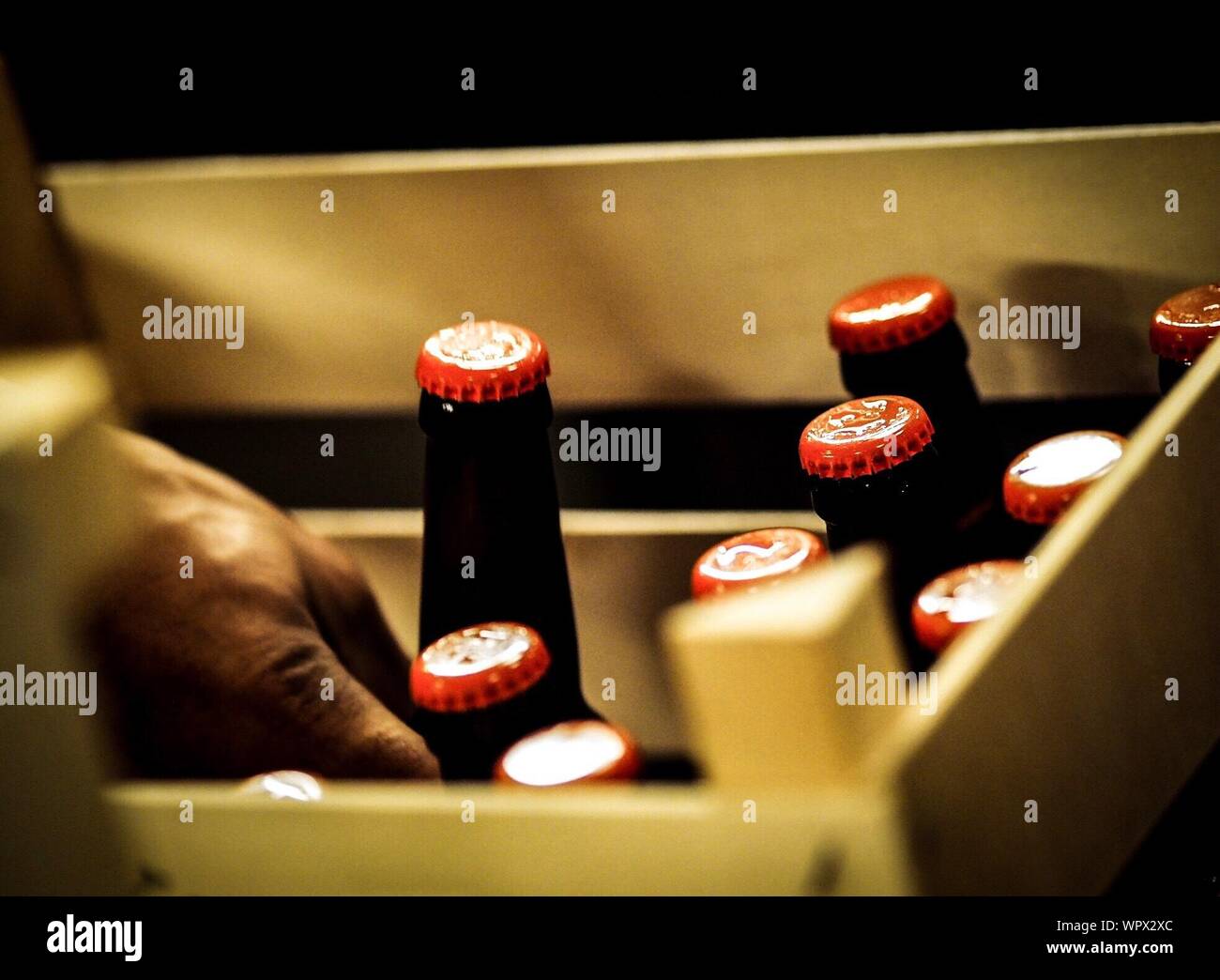 Person holding beer crate hi-res stock photography and images - Alamy