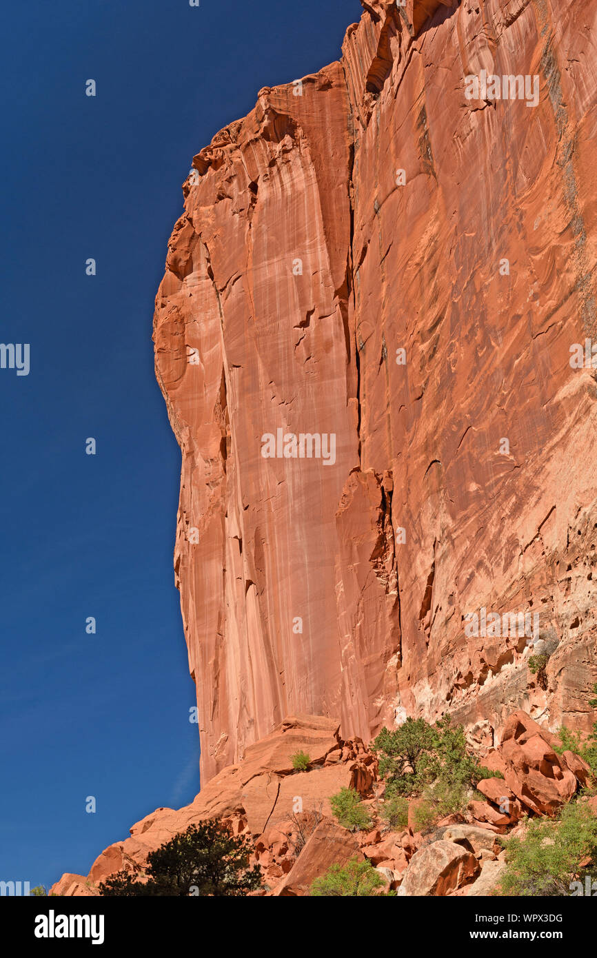 Dramatic Sheer Cliff in a Desert Canyon in Capitol Reef National Park ...