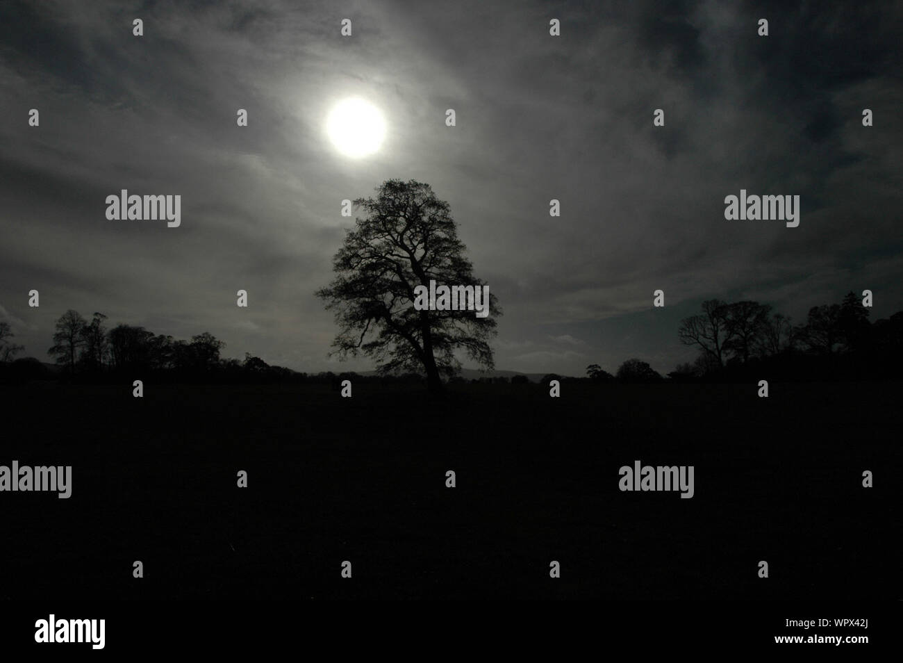 Dramatic skylight hi-res stock photography and images - Alamy