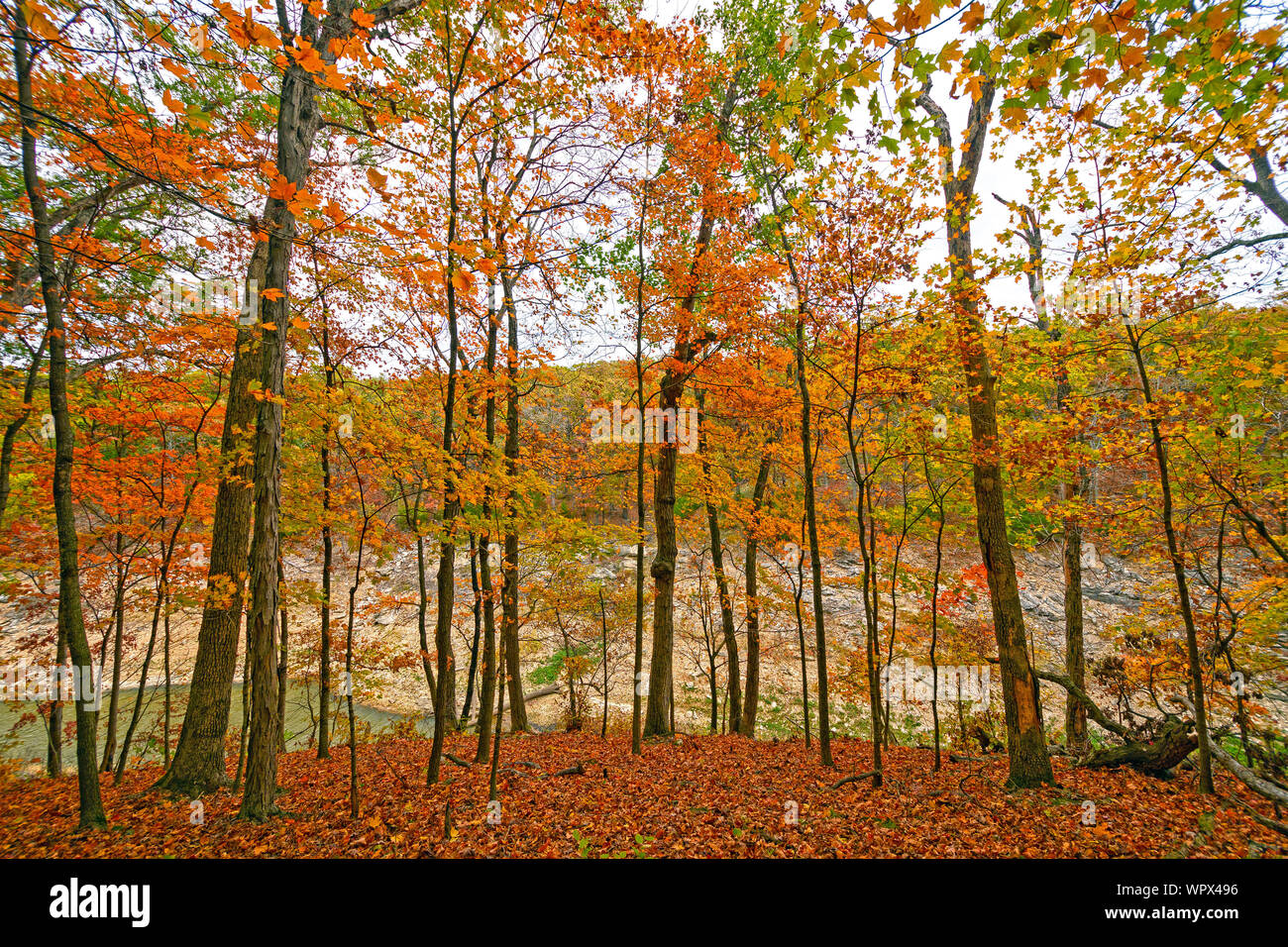 Fall Colors on a Secluded Ridge in Mark Twain State Park in Missouri ...