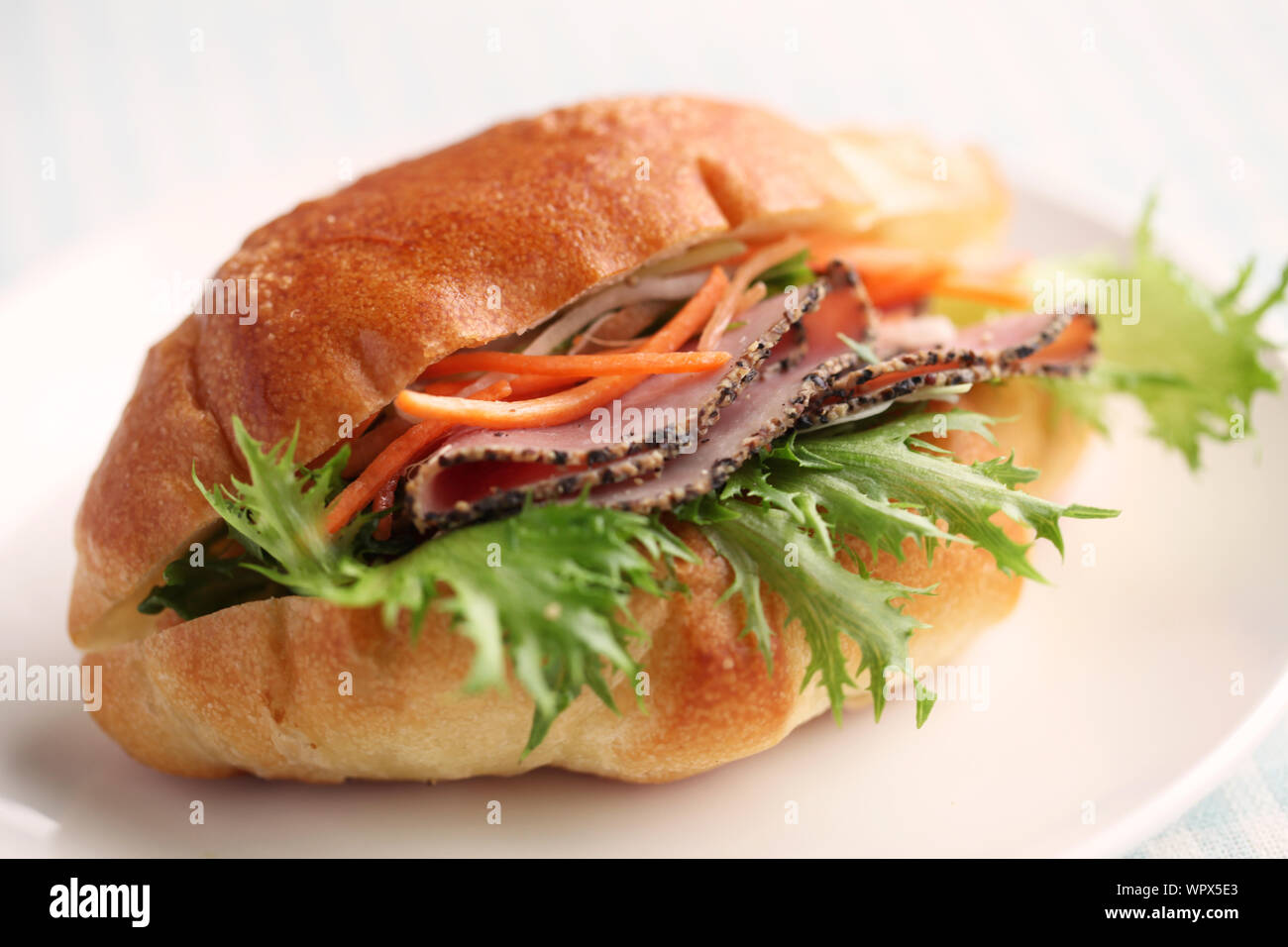 Roast Beef Ham Sandwich at Kari Gonzales blog