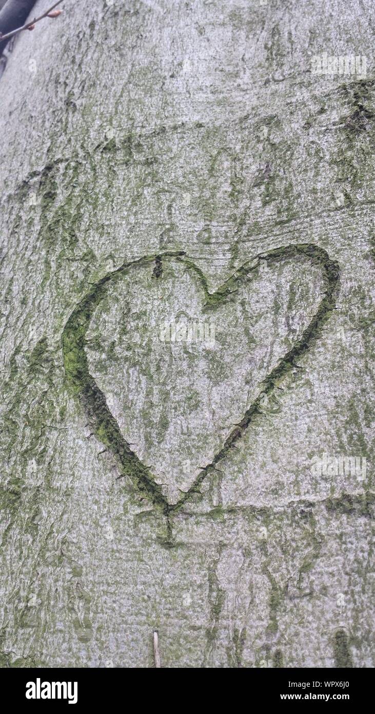 Heart carved into tree hi-res stock photography and images - Alamy