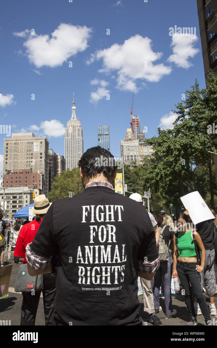 Animals rights shirt hi-res stock photography and images - Alamy