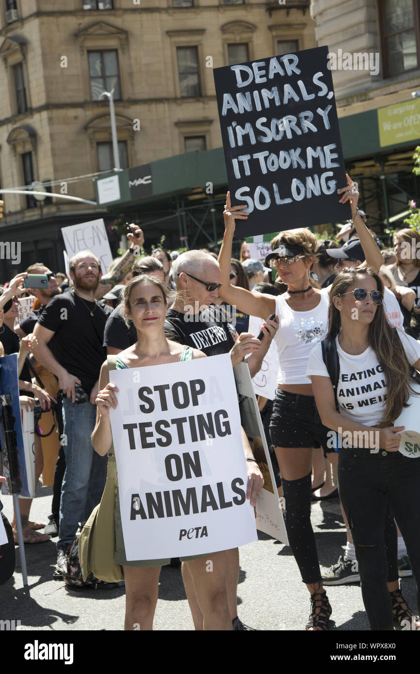 Stop animal testing hi-res stock photography and images - Alamy