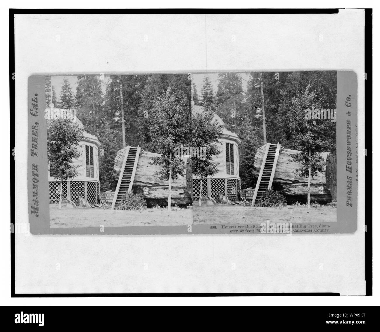 Mammoth trees, Cal. House over the stump of the original big tree ...