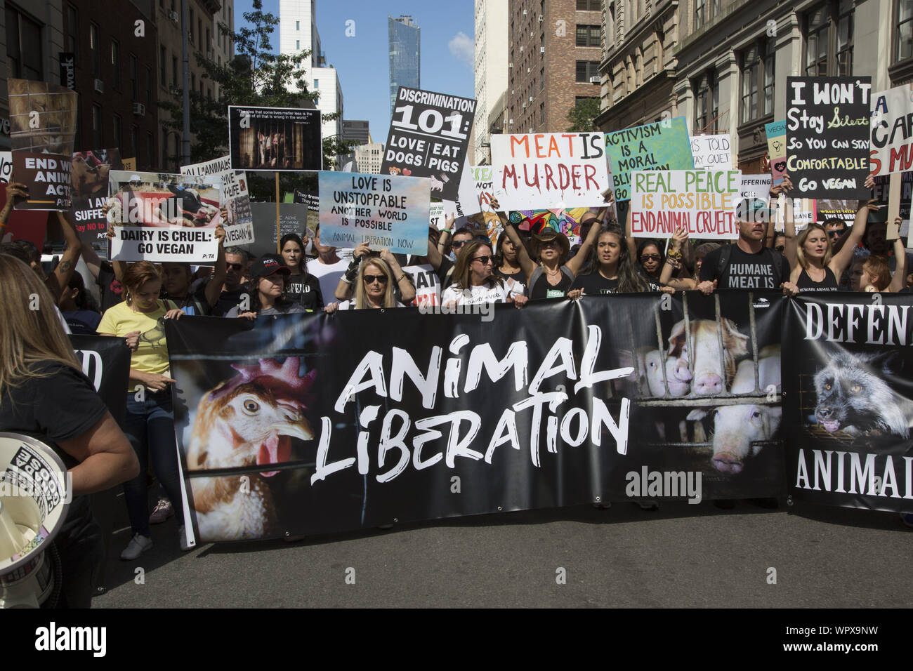 Animal Activist