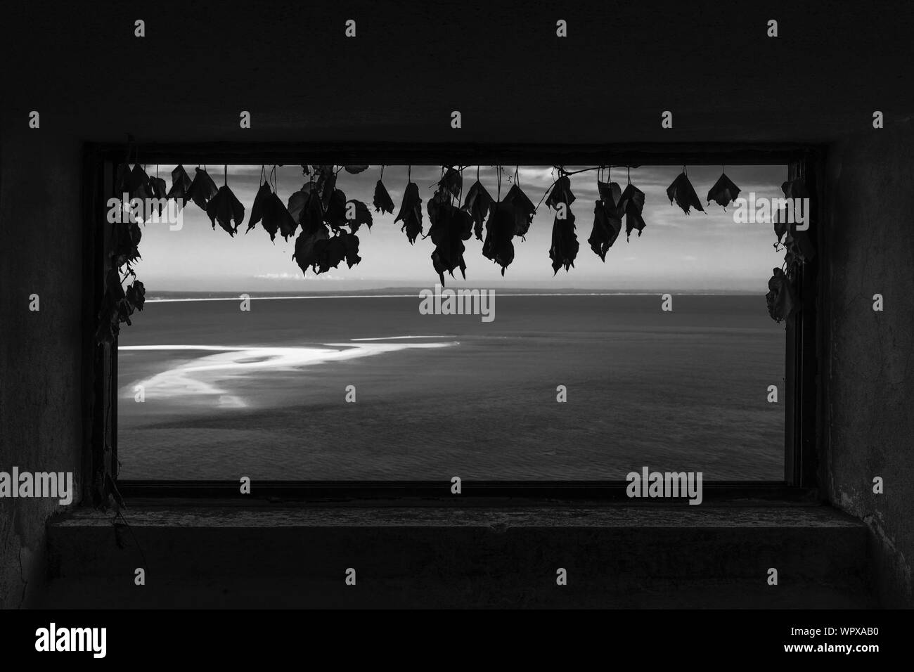 Hanging in window Black and White Stock Photos & Images - Alamy