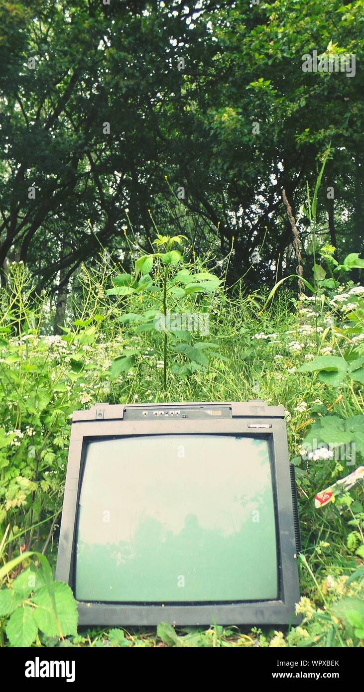 Abandoned Tv Set High Resolution Stock Photography and Images - Alamy