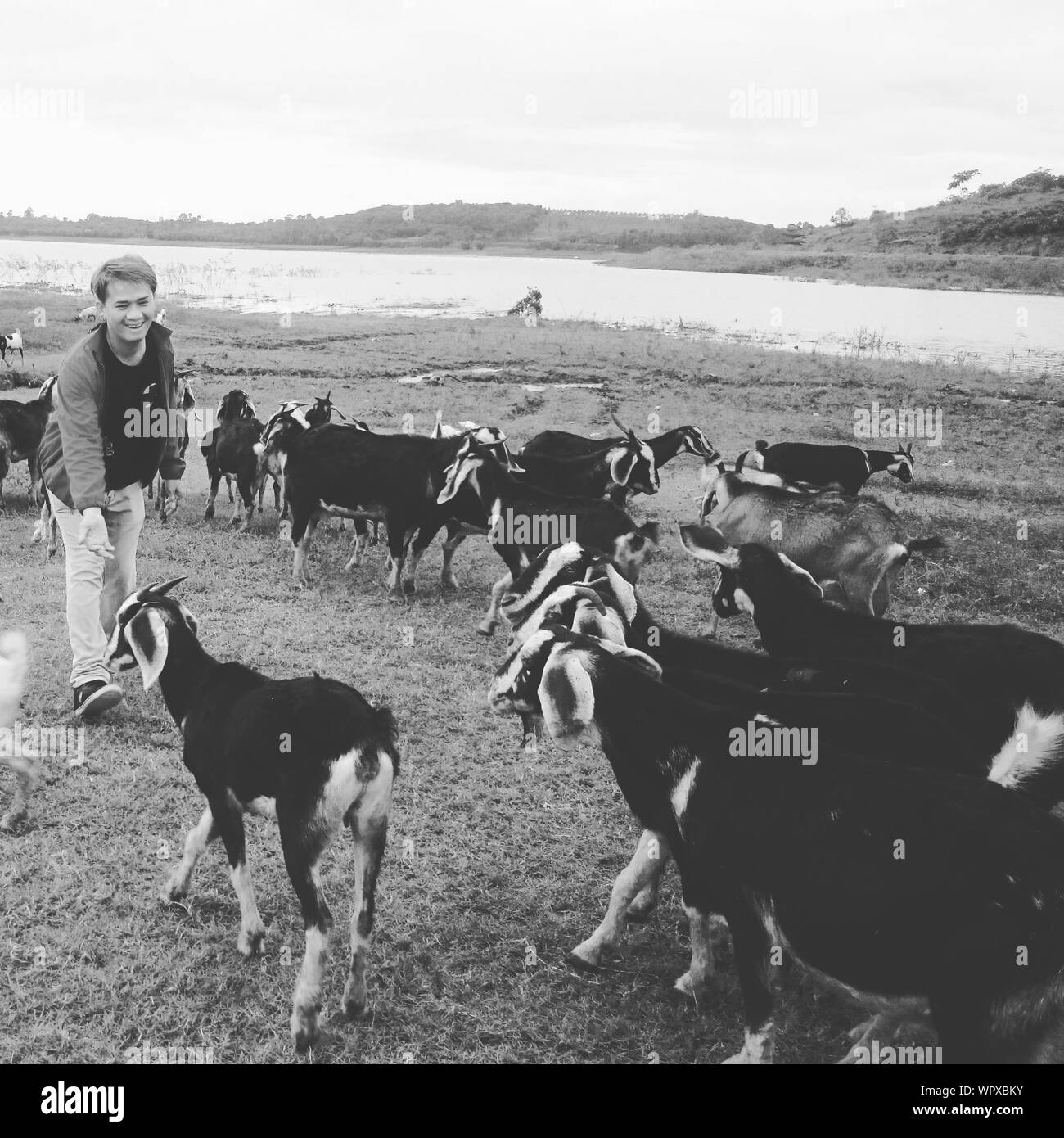 Happy goats hi-res stock photography and images - Alamy