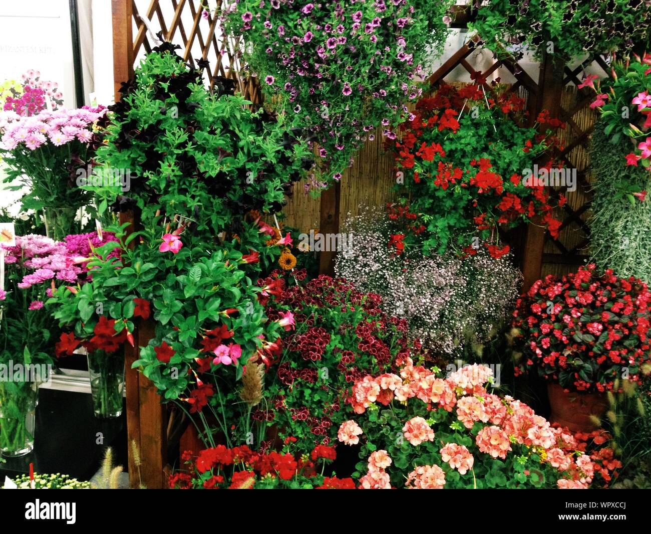 Fresh bouquets hi-res stock photography and images - Alamy