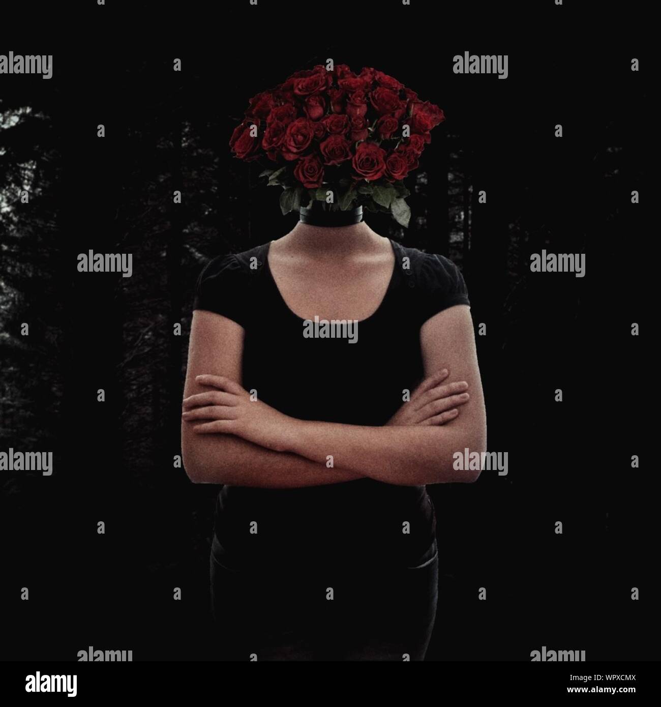 Crossed roses hi-res stock photography and images - Alamy