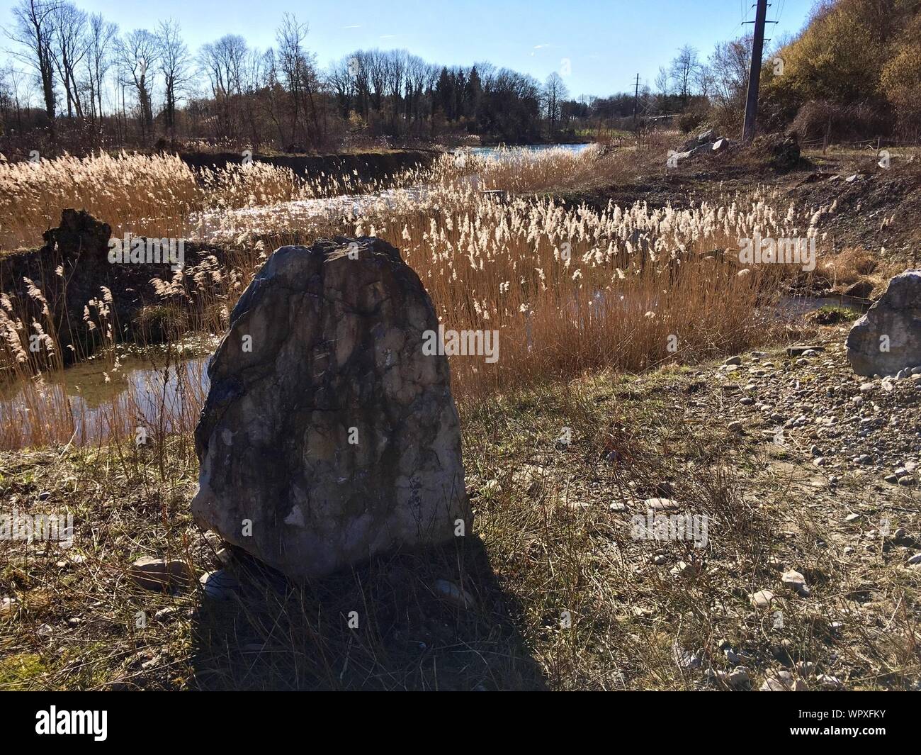 Field pond hi-res stock photography and images - Alamy